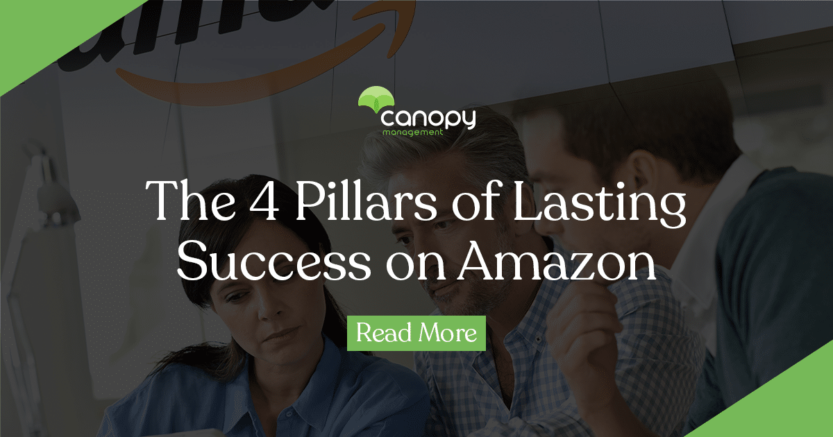 The 4 Pillars of Lasting Success on Amazon - Canopy Management